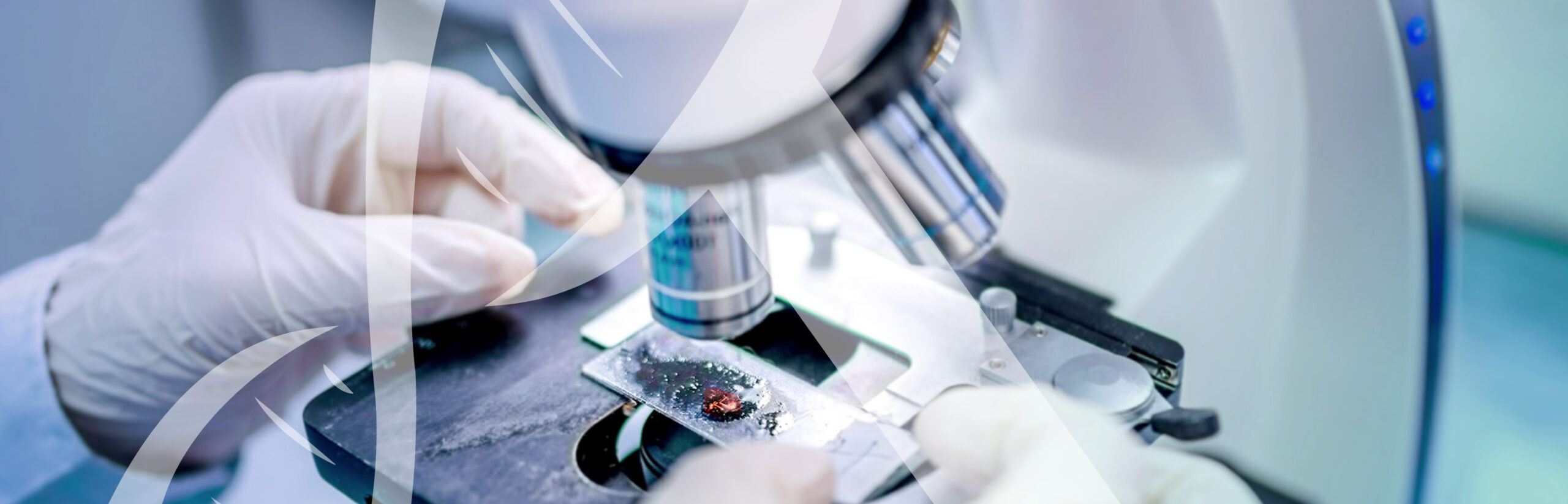 About EXTEND - EXTEND